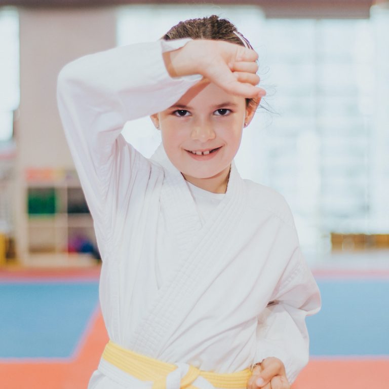 Ippon Karate Portugal - Karate para todos